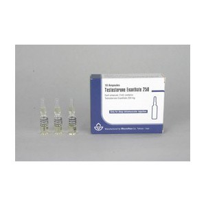 Testosterone Enanthate 250 :: Anabolika